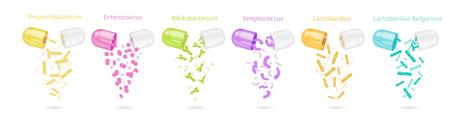 Probiotics infographic set Royalty Free Vector Image