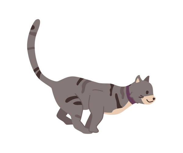 Cat Running Vector Images (over 4,100)