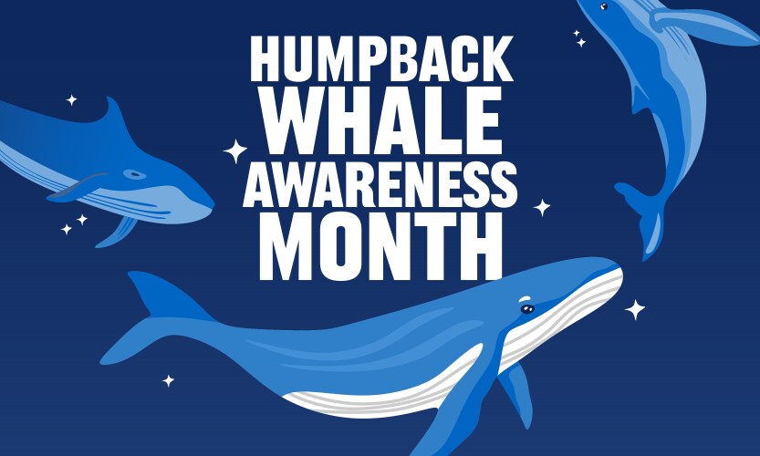 Humpback whale awareness month Royalty Free Vector Image