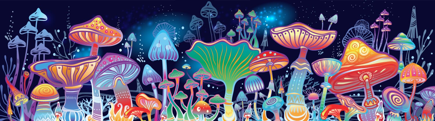 Magic mushrooms banner Royalty Free Vector Image