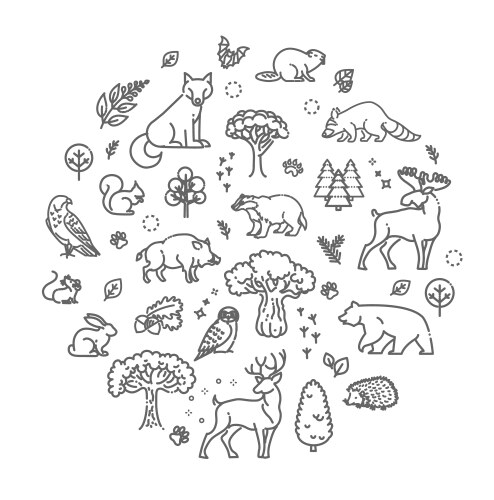 Doodle forest animals Royalty Free Vector Image