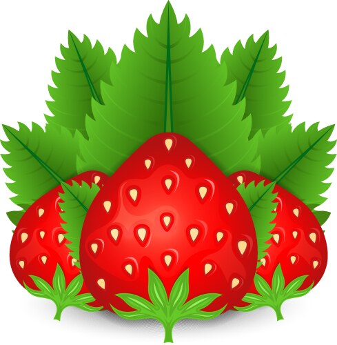 Strawberry Vector Images (over 120,000)