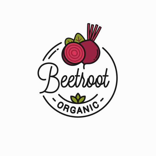 Beetroot plant sketch Royalty Free Vector Image
