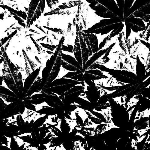 Leaves Overlay Vector Images (over 3,300)