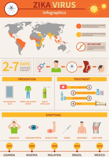 Zika virus infographics Royalty Free Vector Image