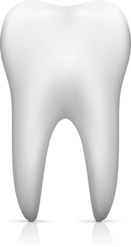 Tooth Vector Images (over 150,000)