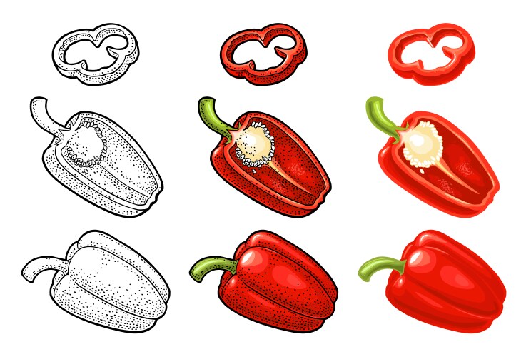 Capsicum Outline Vector Images (over 1,100)