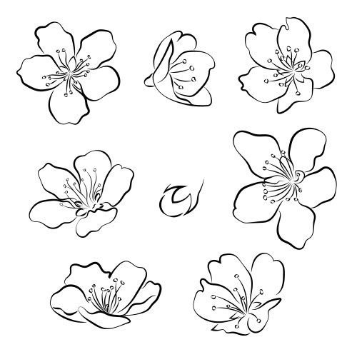 Cherry Blossom Outline Vector Images (over 2,600)