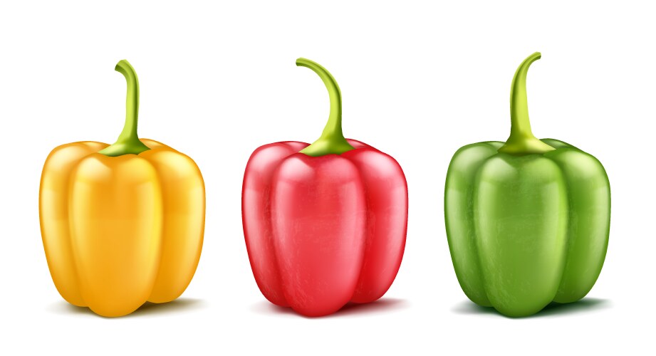 Bell Peppers Vector Images (over 11,000)