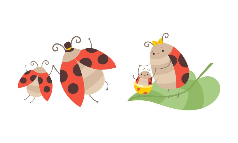 Cute ladybug families set insect parents Vector Image