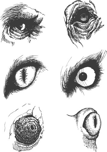 Dramatic Vector Images (over 26,000)