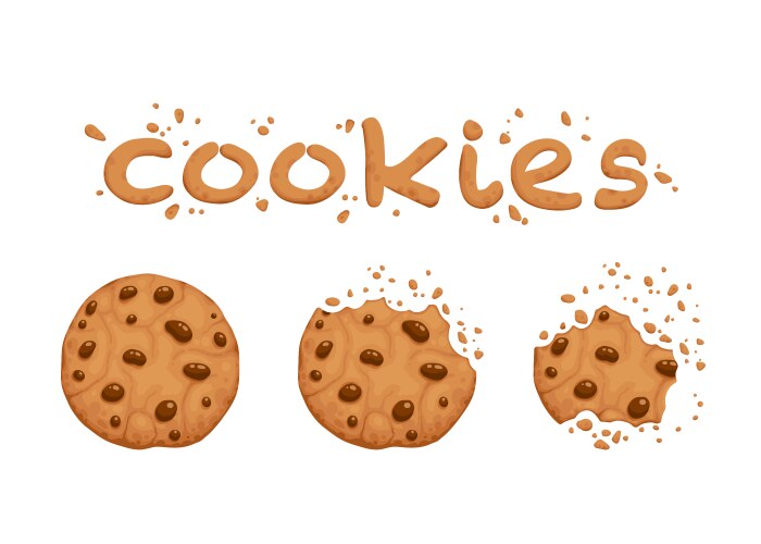 Bitten chocolate chip cookie crunch homemade Vector Image