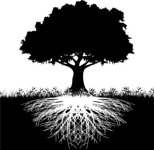 Tree of Life Vector Images (over 100,000)