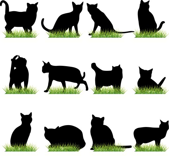 Cats Vector Images (over 360,000)