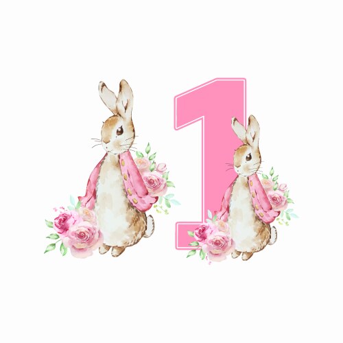 Peter Rabbit Vector Images (over 180)