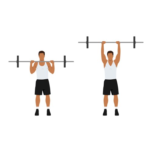 Overhead Stretch Vector Images (over 130)