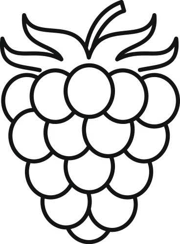 Hand drawn doodle blackberry or raspberry Vector Image