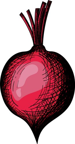 Beetroot Logo Vector Images (over 950)