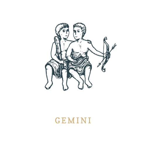 Gemini zodiac sign black horoscope symbol Vector Image