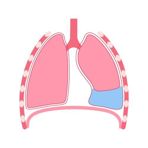 Cute Lungs Icons - Anatomy Royalty Free Vector Image