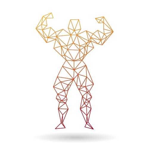 Muscle Vector Images (over 140,000)