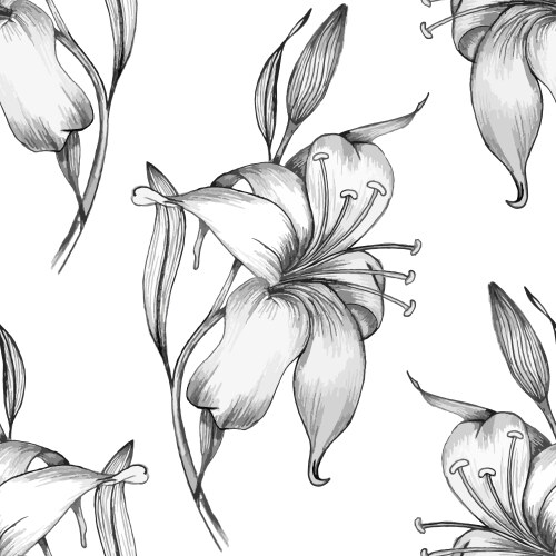 Elegant lily flower engraving Royalty Free Vector Image