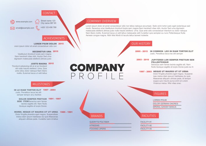 Design infographic template of company overview Vector Image