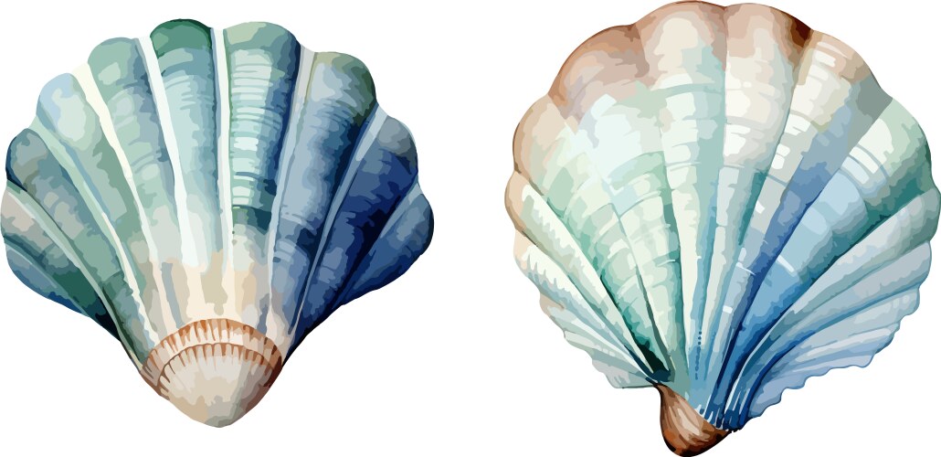 Sea Shell Clipart Vector Images (over 2,300)