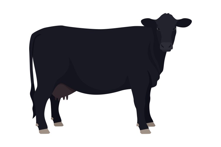 Angus Cattle Vector Images (over 1,500)