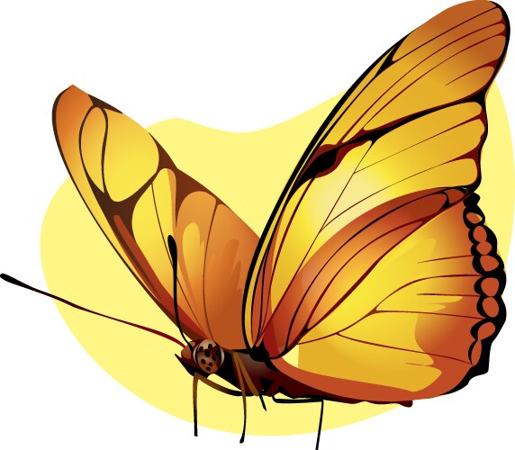 Butterfly Vector Images (over 170,000)