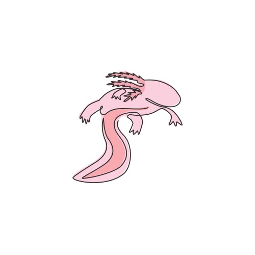 Single continuous line drawing beauty axolotl Vector Image