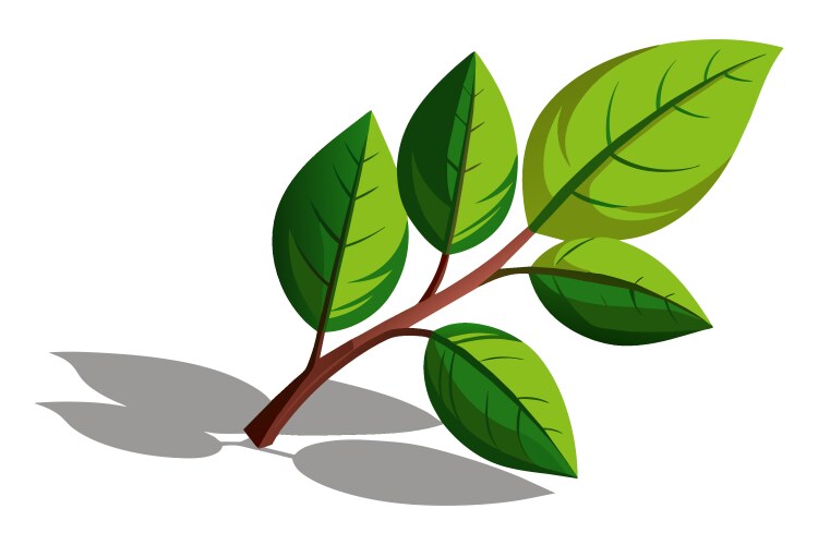 Banyan tree isolated flat Royalty Free Vector Image Banyan tree isolated flat Royalty Free Vector Image
