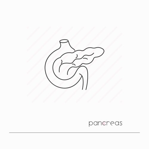 Human organ related outline icon Royalty Free Vector Image