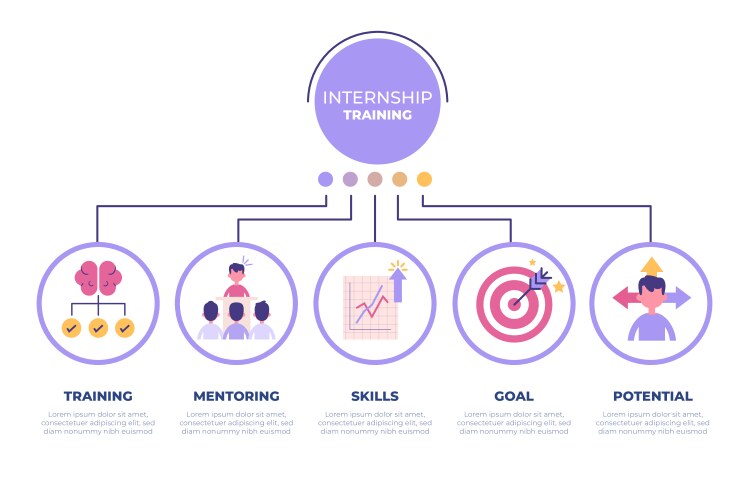 Internship training infographic Royalty Free Vector Image