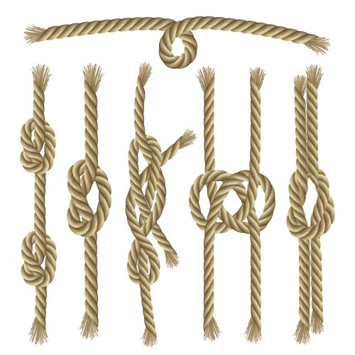 Rope Letter M - Knot Detail – Royalty-Free Vector | VectorStock