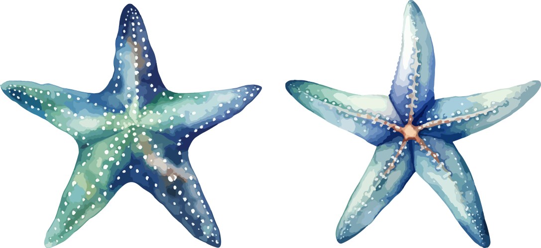 Clip Art Starfish Cute Starfish Vector Illustration. Friendly Oceanic