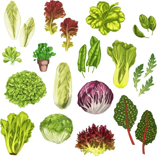 Vegetable Vector Images (over 580,000)