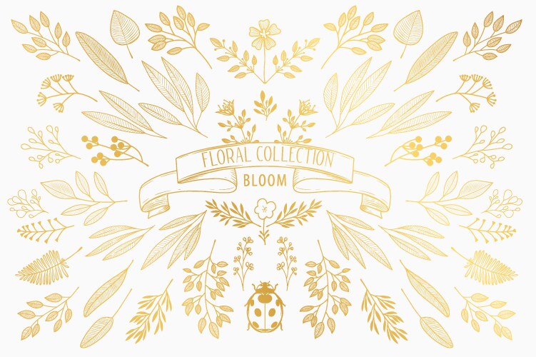 Bloom collection Royalty Free Vector Image - VectorStock