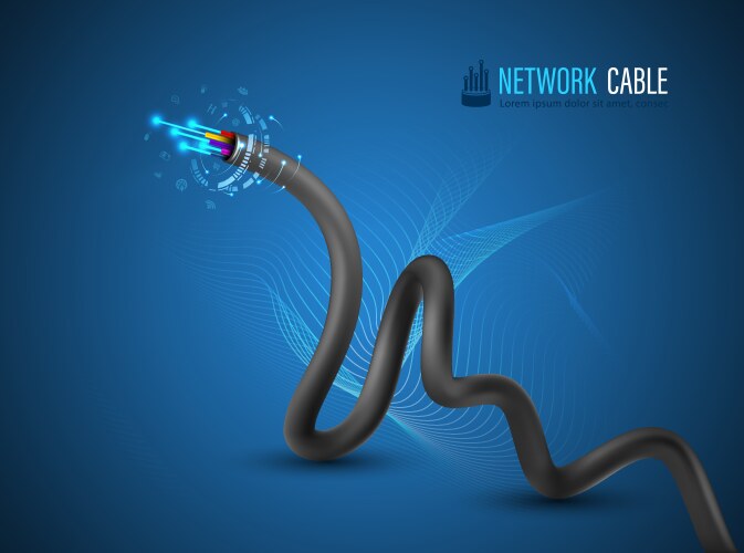 Fiber optic cable Royalty Free Vector Image - VectorStock