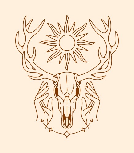 Deer skull line art Royalty Free Vector Image - VectorStock