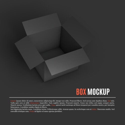 Open box mockup template top view Royalty Free Vector Image