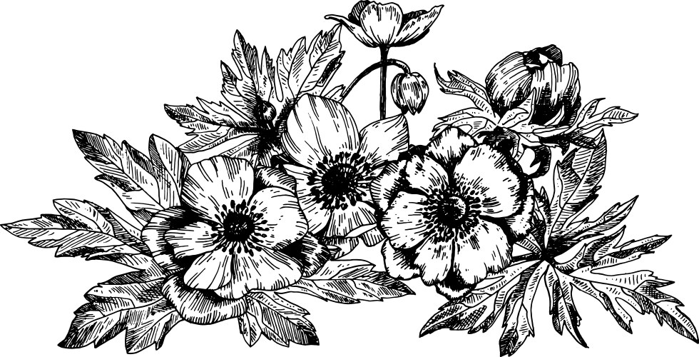 Anemone Vector Images (over 9,200)