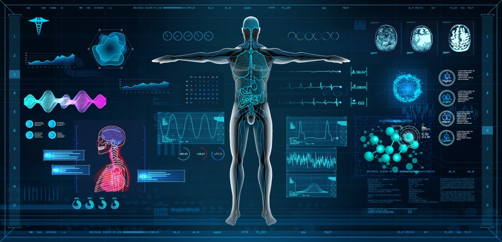 Medical infographic hud ui concept of body scan Vector Image