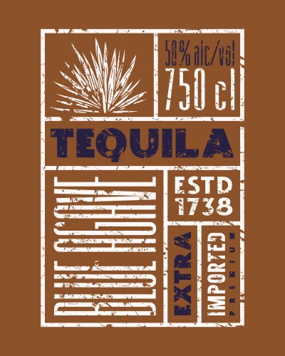 Set of template decorative label for tequila Vector Image