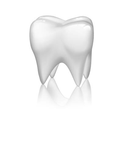 Tooth Vector Images (over 150,000)