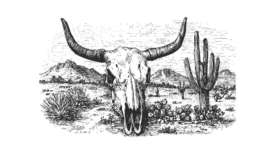 Bull Skull in Desert Landscape – Royalty-Free Vector | VectorStock