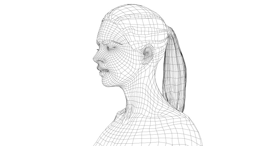 Wireframe portrait a young beautiful girl Vector Image