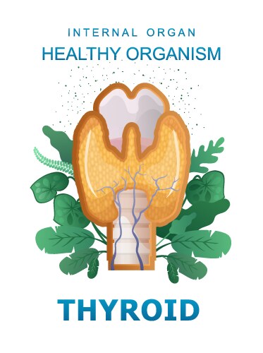 Internal Vector Images (over 490,000)