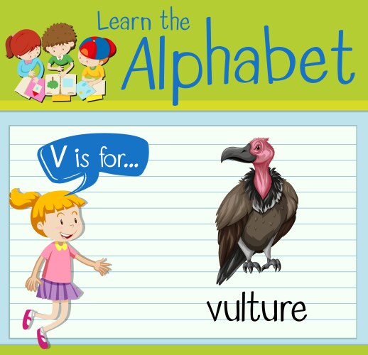 Bird Flashcard Vector Images (over 510)