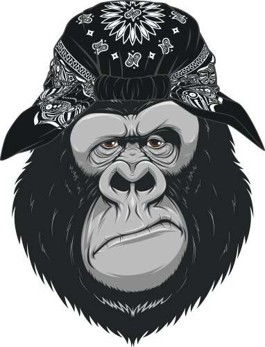 Monkey Vector Images (over 63,000)